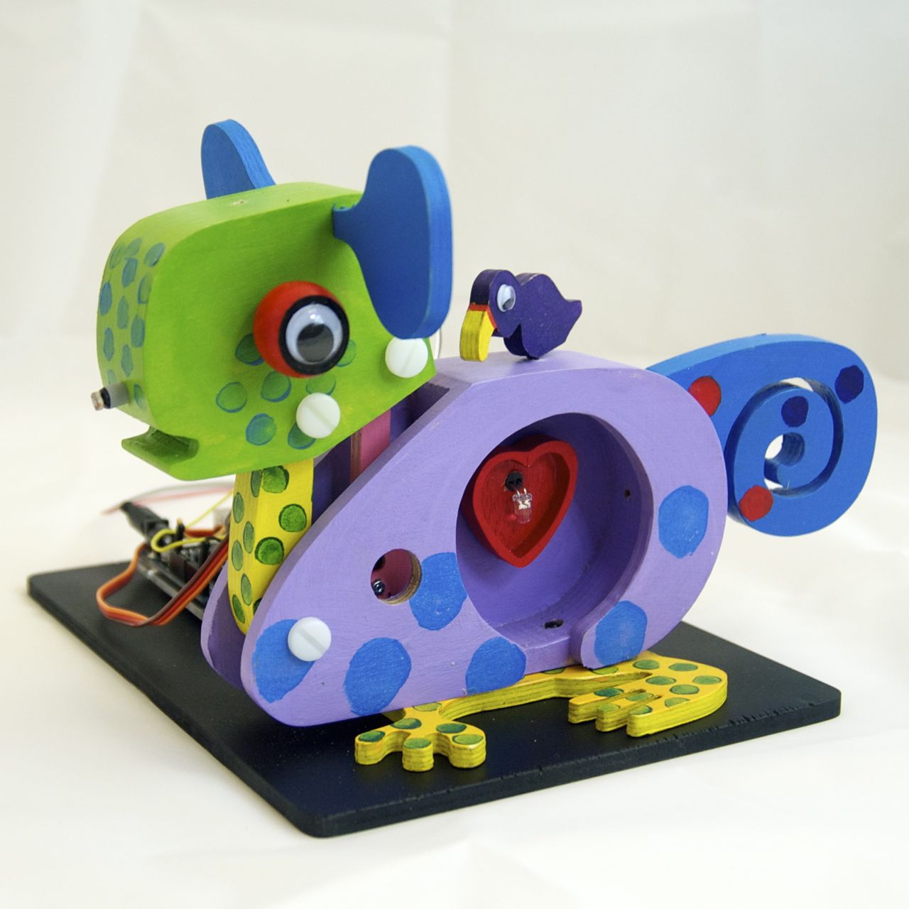 STEM Education - Rodni