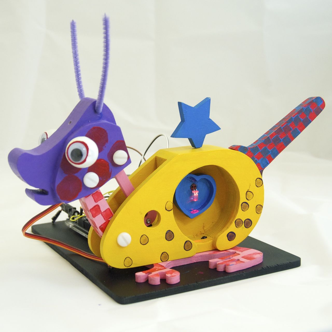 STEM Education - Rodni