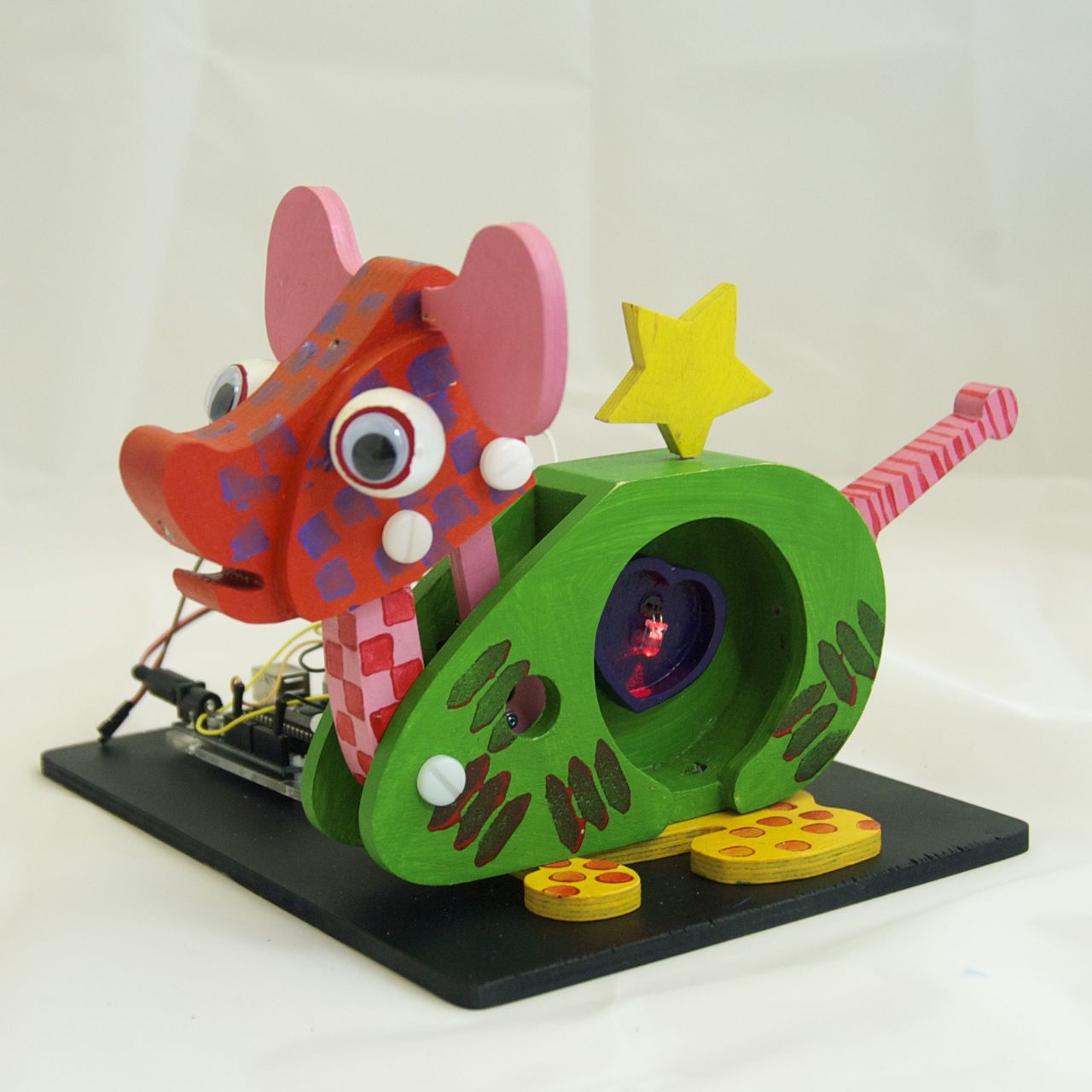 STEM Education - Rodni